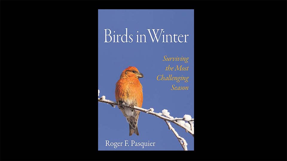 Roger Pasquier • Birds in Winter: Surviving the Most Challenging Season ...