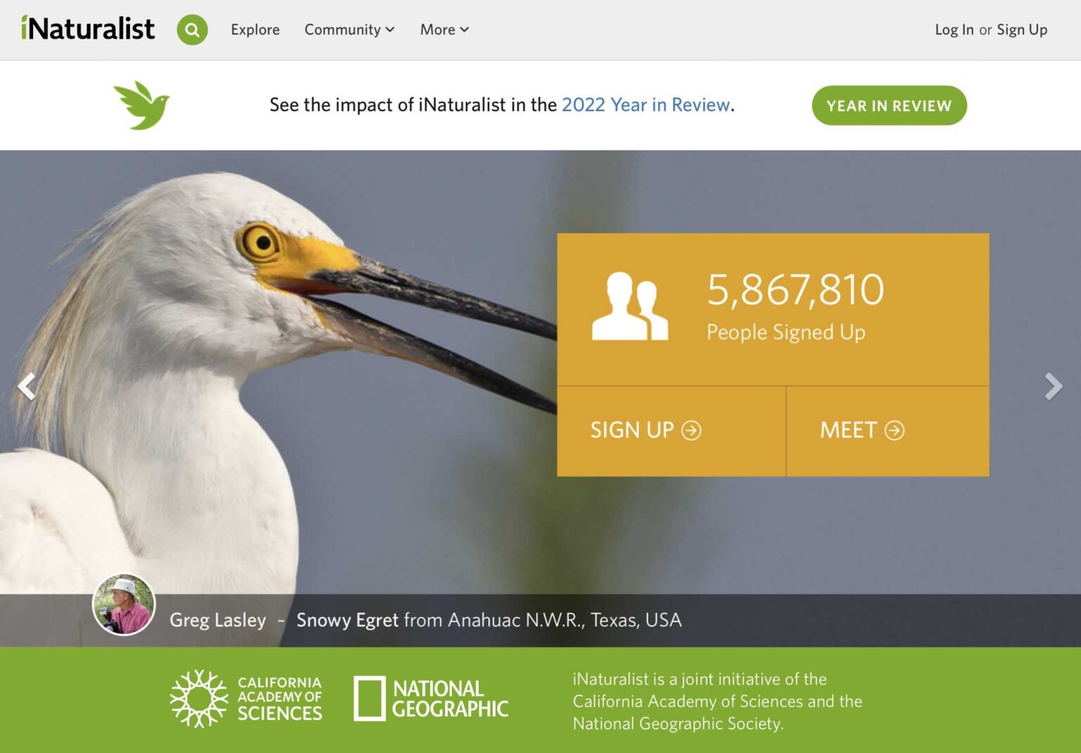 An Introduction to iNaturalist by Janet Wooten - The Linnaean Society ...