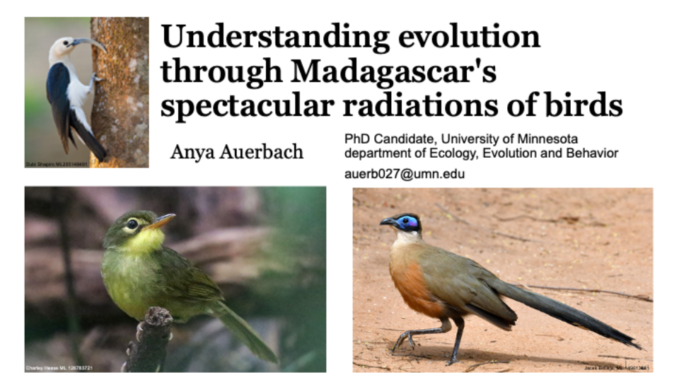 Anya Auerbach • Understanding Evolution Through Madagascar’s ...